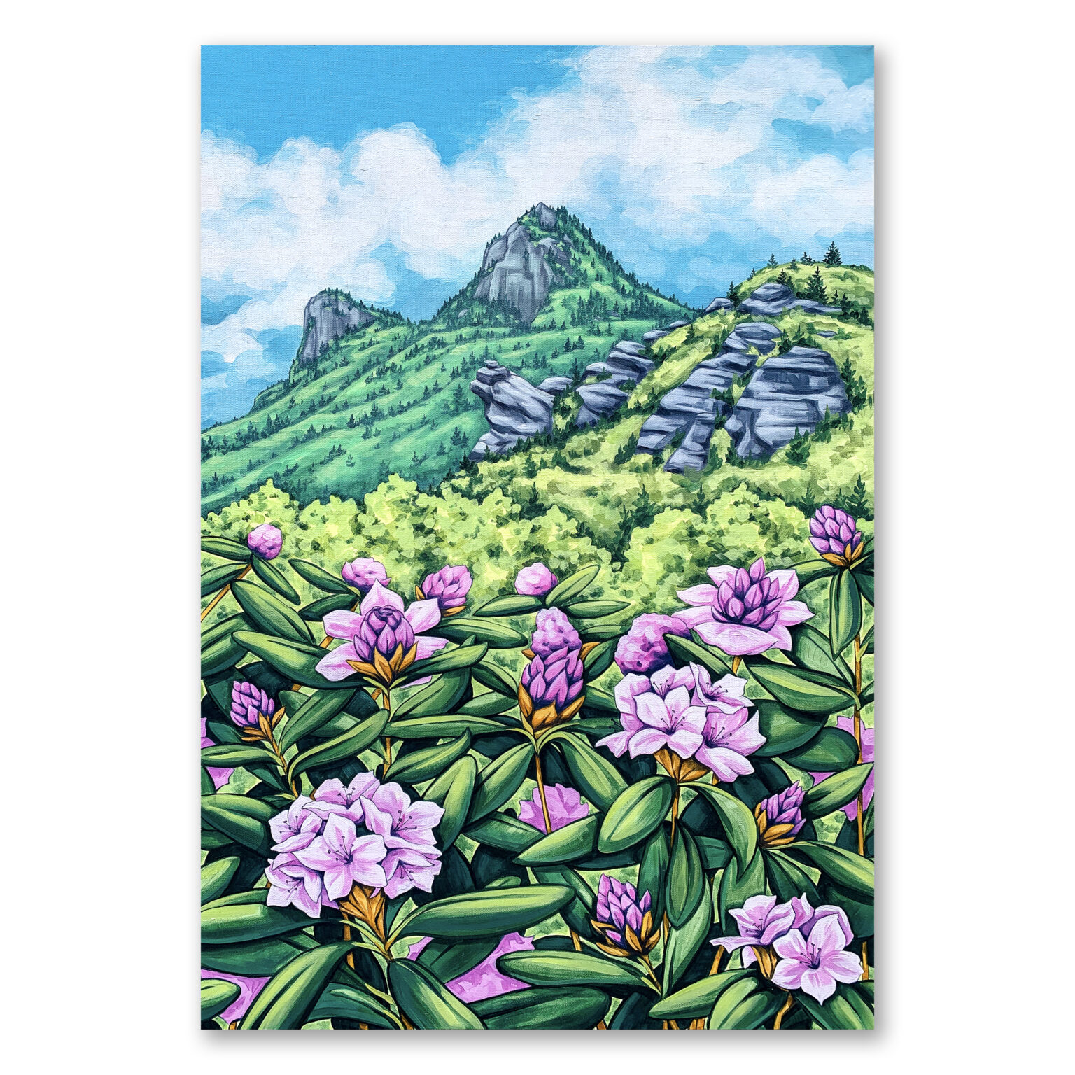 Artists – Festival In the Park